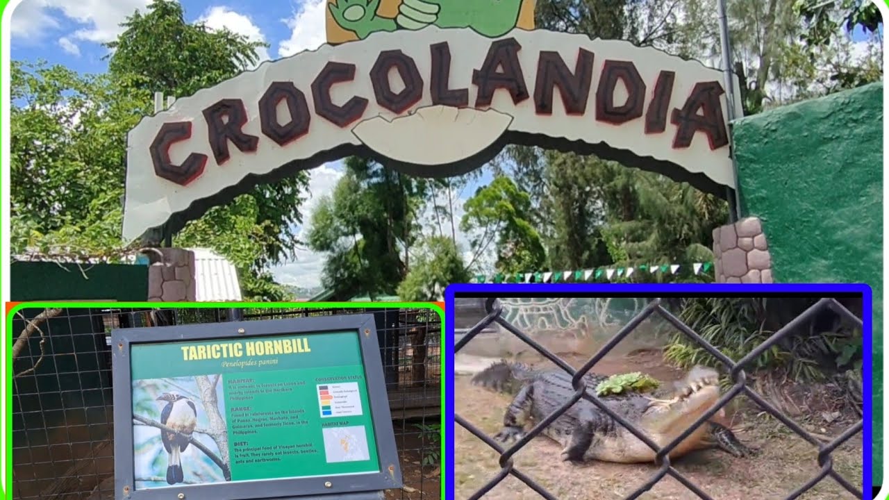 Vlog 88 | Crocolandia Talisay City 🇵🇭 - YouTube