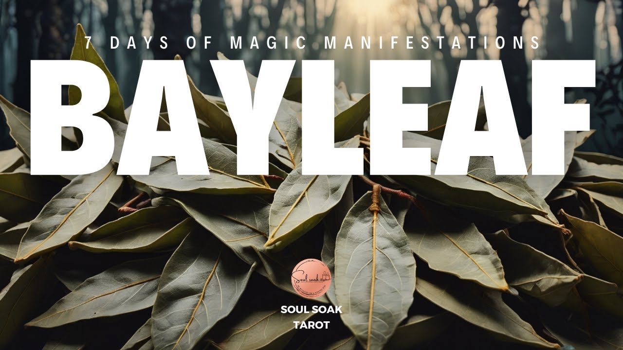 🍃Manifest Your Dreams: 7 Days of Bay Leaf Magic | Attract Abundance, Dream Partner, Luck, Health ...