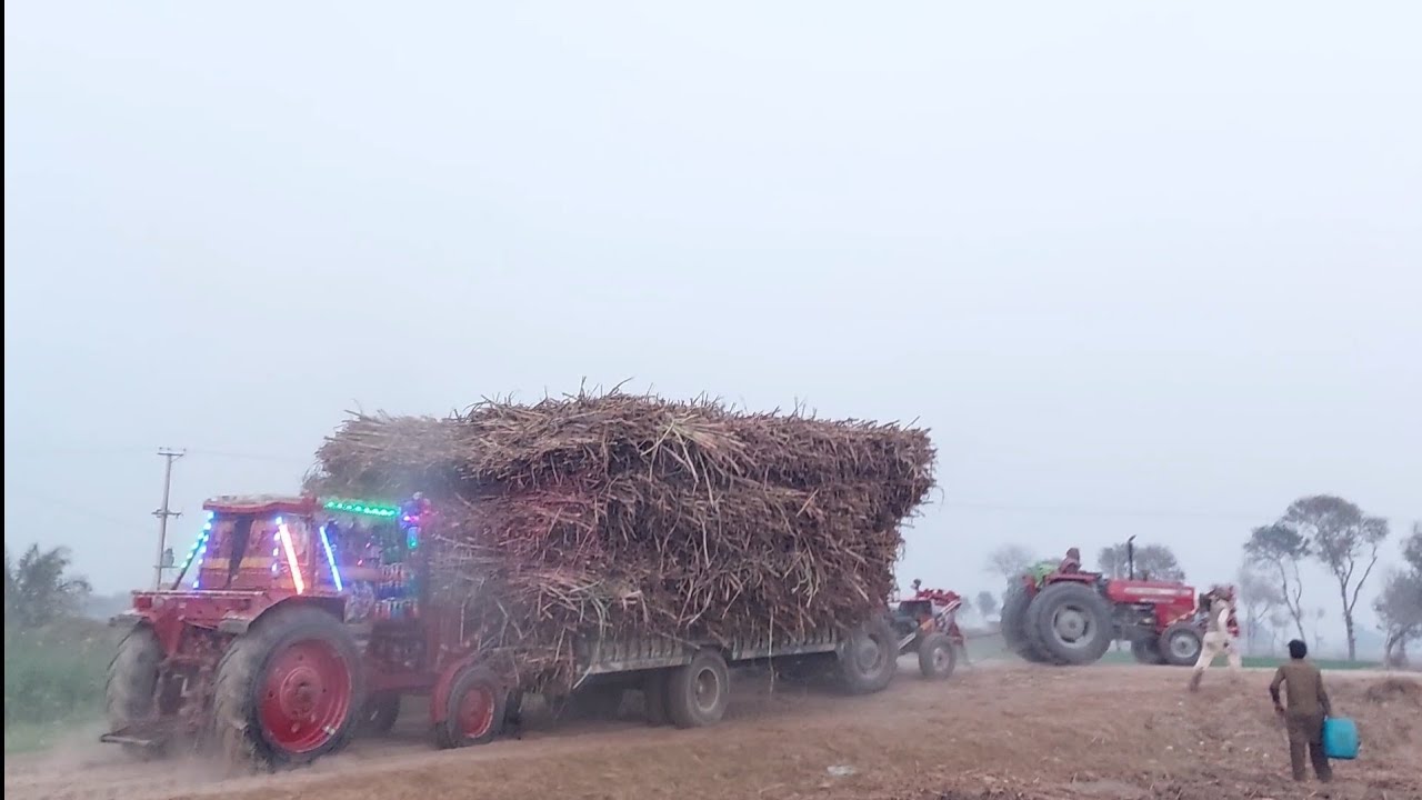 Massey tractor sugar load trali help belarus tractor and good ...
