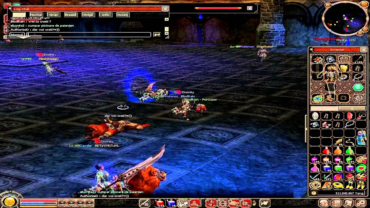 Metin2.ro Hydra BlodRain vs cateva din marionetele de pe Hydra - YouTube