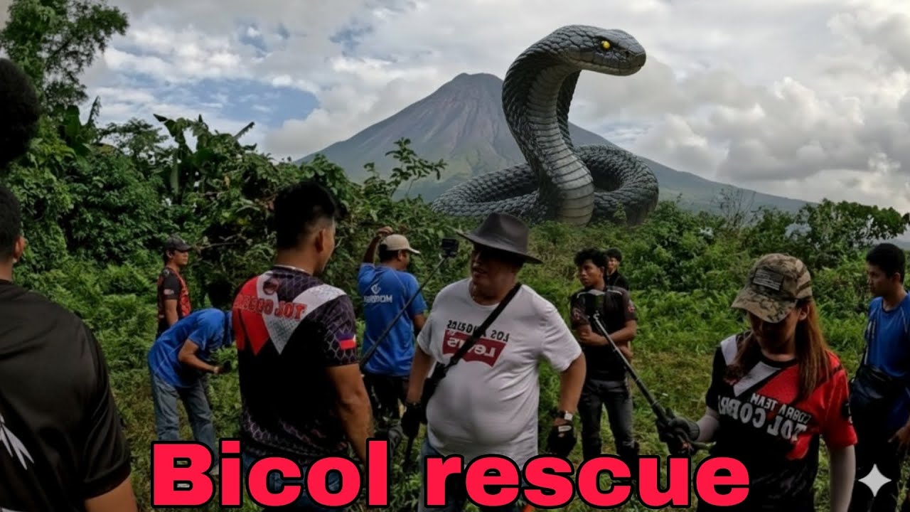 ANG LALA NG AHAS SA BICOL ANG LALAKI NITO #cobraprince - YouTube