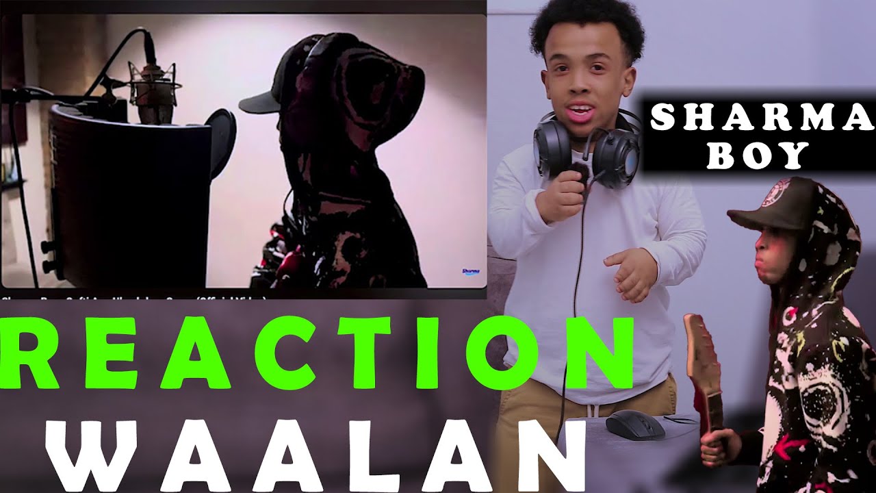 REACTION SHARMA BOY HEES JACEL DARENKEEDA WADATO#jandarman - YouTube