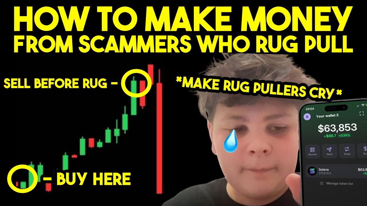 How To Make Money From Scammers Before They Rug Pull Memecoins ...