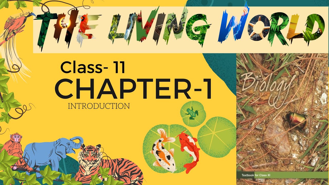 Class 11 NCERT biology Chapter 1 The Living World \ All Exams CBSE NEET ...