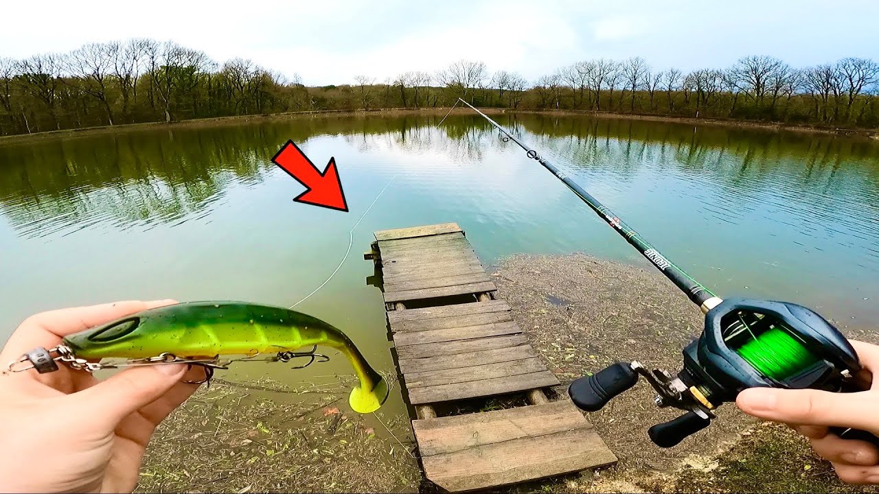 Un brochet métré sous ce ponton, on pêche cet étang pour la première ...