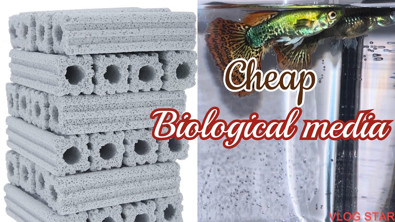 biological blue ceramic blocks filter media! Amazon finds! REVIEW ...
