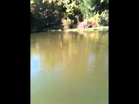 Coffee mill lake,Tx - YouTube