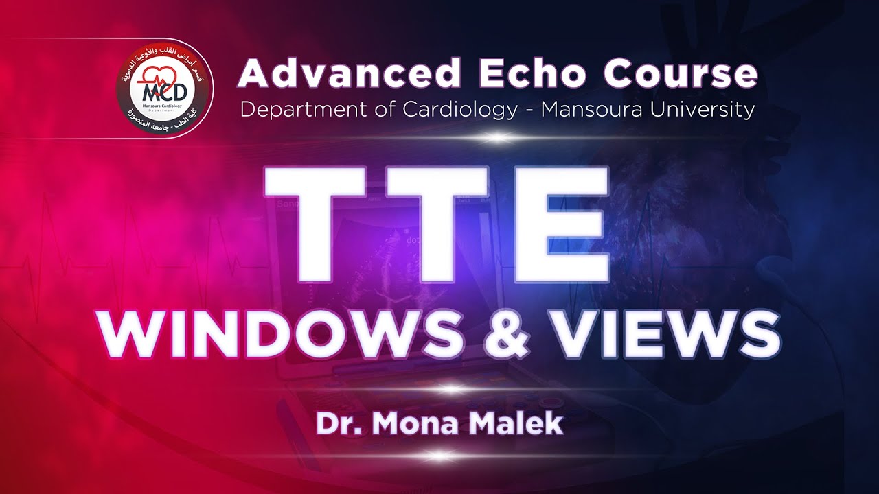 TTE Windows & Views - Dr. Mona Malek - YouTube