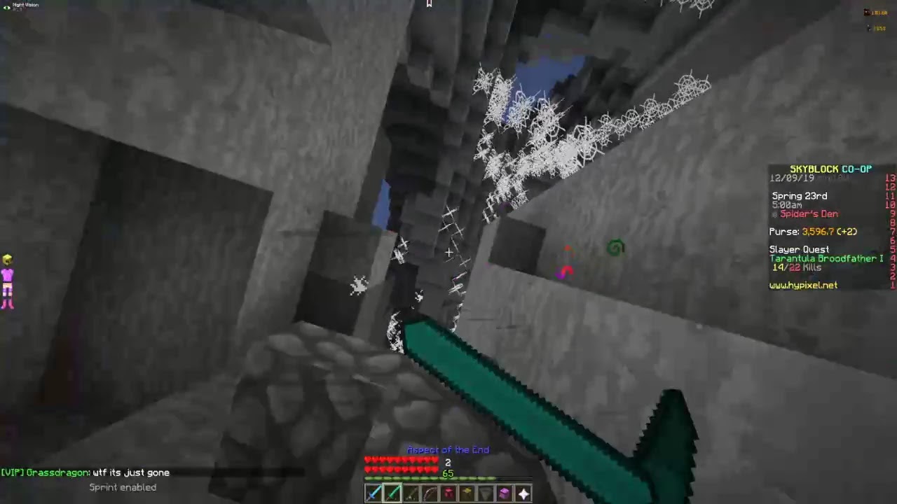 Tier 5 Spider Sneak Peak - Hypixel Skyblock - YouTube