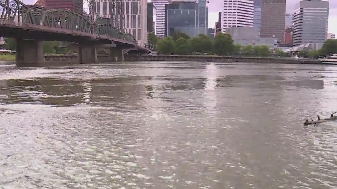 Code Brown: Heavy rains force sewage into the Willamette River - YouTube