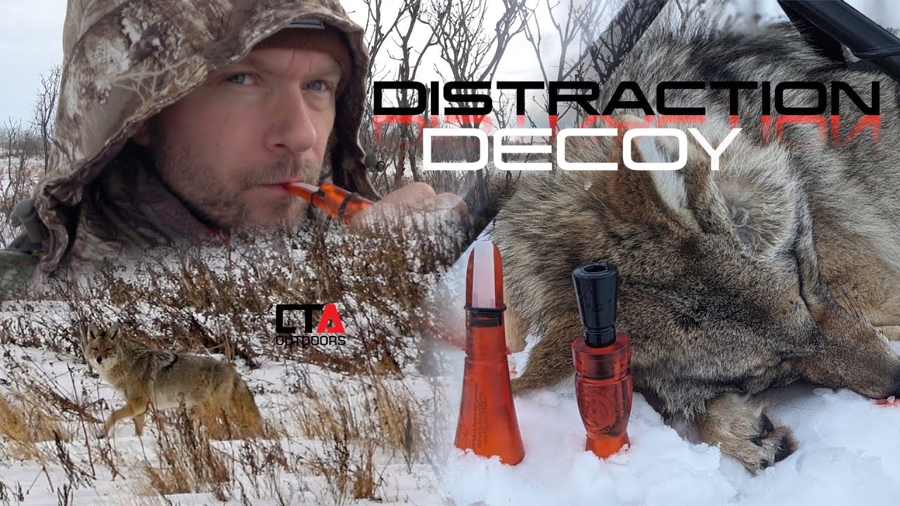 Coyote Hunting DISTRACTION DECOY - YouTube