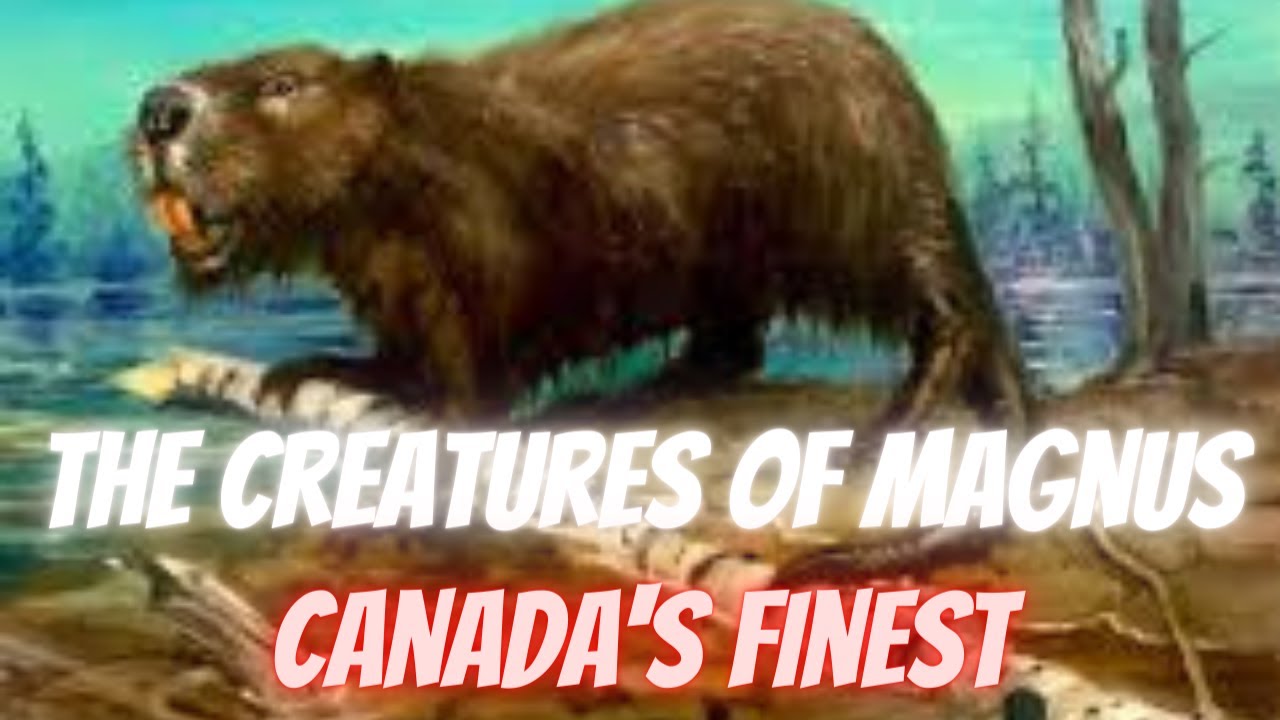 The Creatures of Magnus: Canada's Finest - YouTube