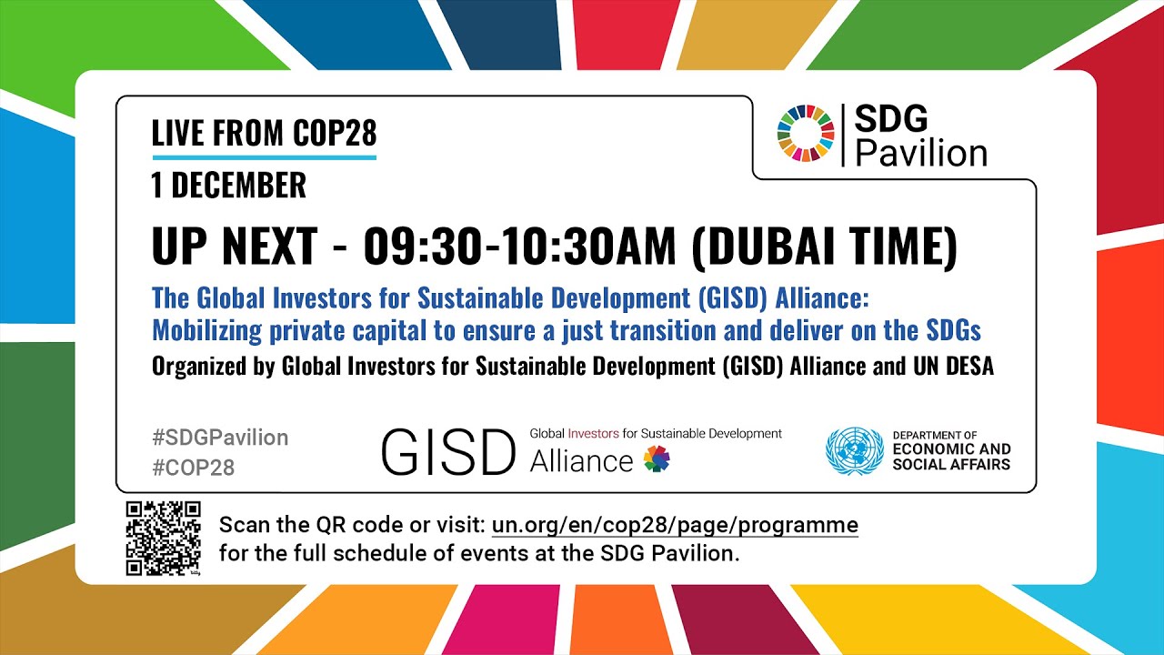 SDG Pavilion @ COP28: Mobilizing Private Capital to Ensure a Just ...