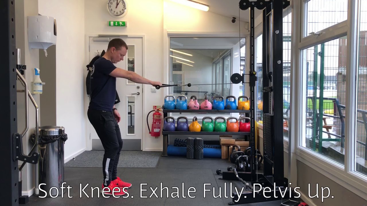 Standing Single Arm Alternating Cable Row - YouTube