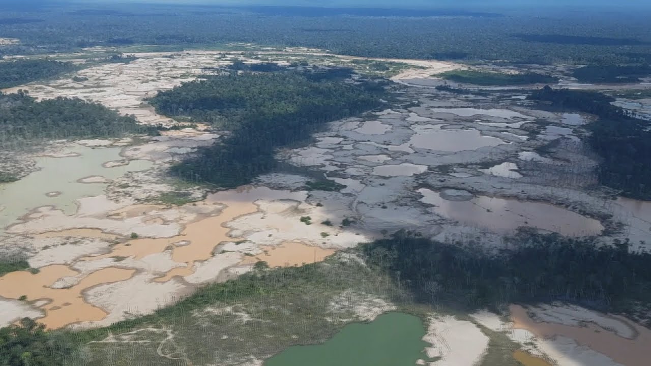 Scientists help prevent further destruction of Peru’s Amazon forest ...