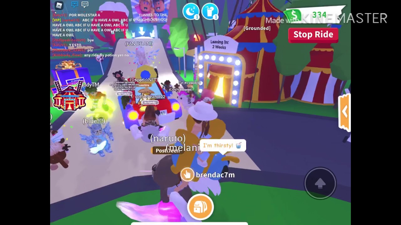 What do people offer for a fly ride queen bee? - YouTube