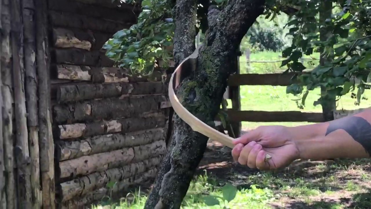 Testing heat treated black locust bow limb - YouTube