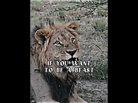 BECOME A MONSTER 🔥 #motivation #sigma #animals #status #lion