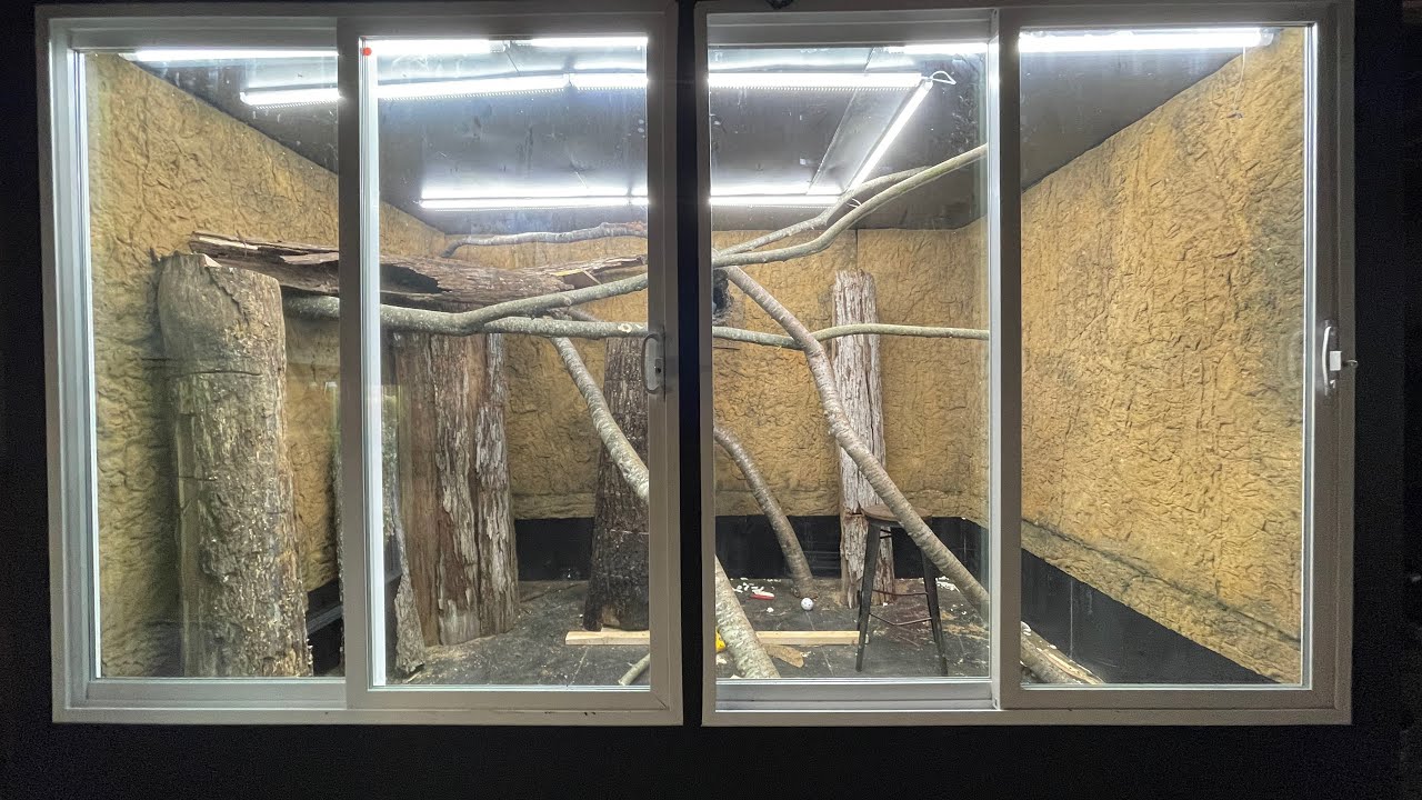 Huge lizard enclosure - YouTube