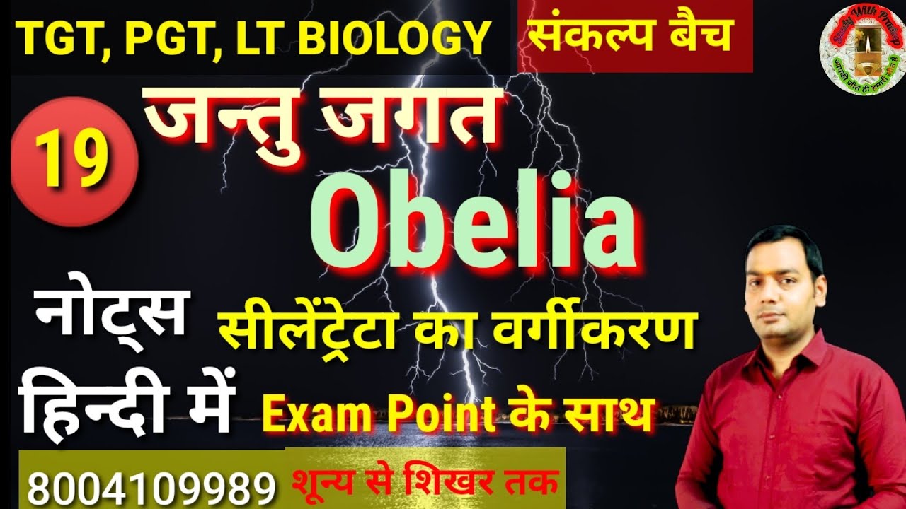 Obelia in hindi|| Tgt pgt biology classes|| Lt biology classes|| Study with pradeep biology ...