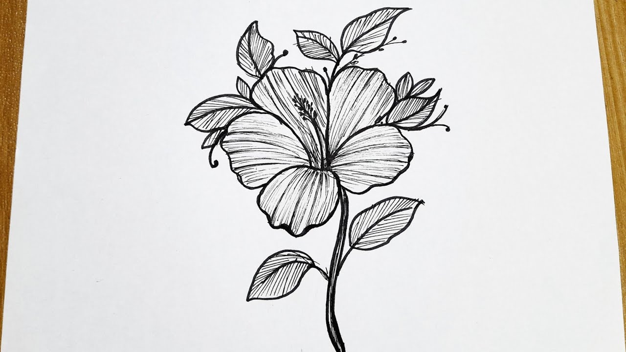 How to draw flower easy step by step tutorial for beginners - YouTube