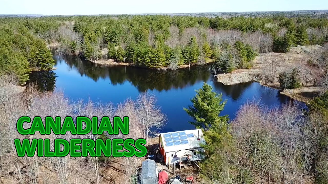 Surviving at our Off Grid Cabin in the Canadian Wilderness S4 • E12 ...