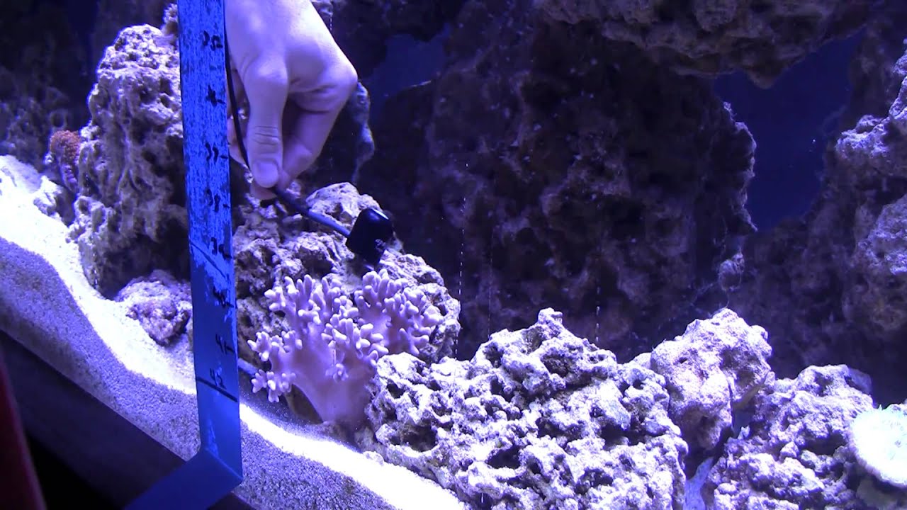 185 reef LED's PAR Meter Testing.m2ts - YouTube