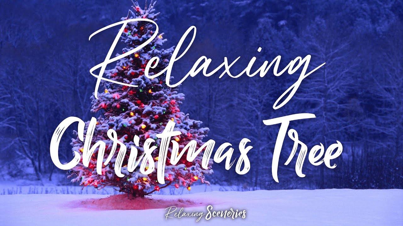Relaxing Christmas Tree | Relaxing Music & Calming 4K Nature | Sleep ...