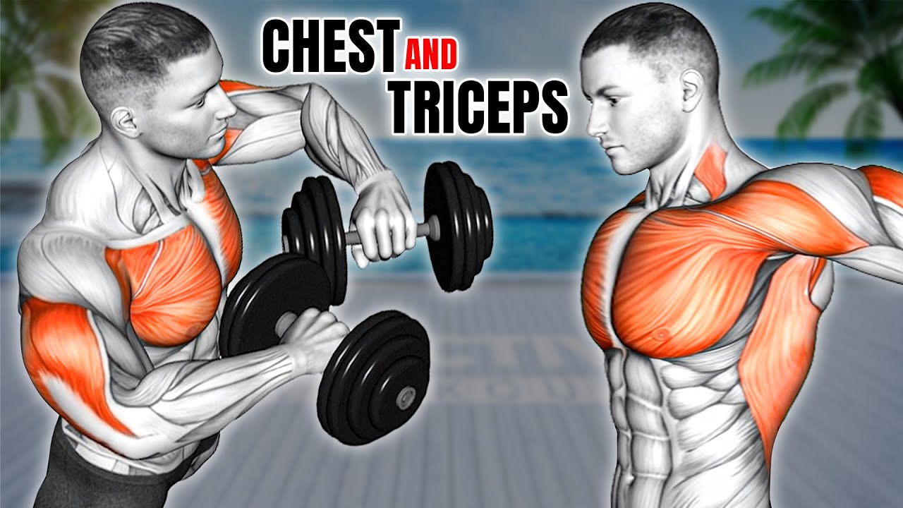 6 Minute Chest and Triceps Workout for Quick Results - YouTube