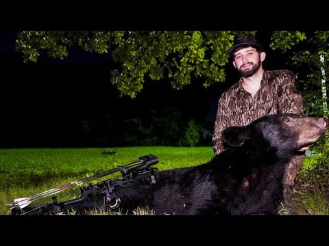 GEORGIA BEAR HUNT IN THE MNTS! - YouTube