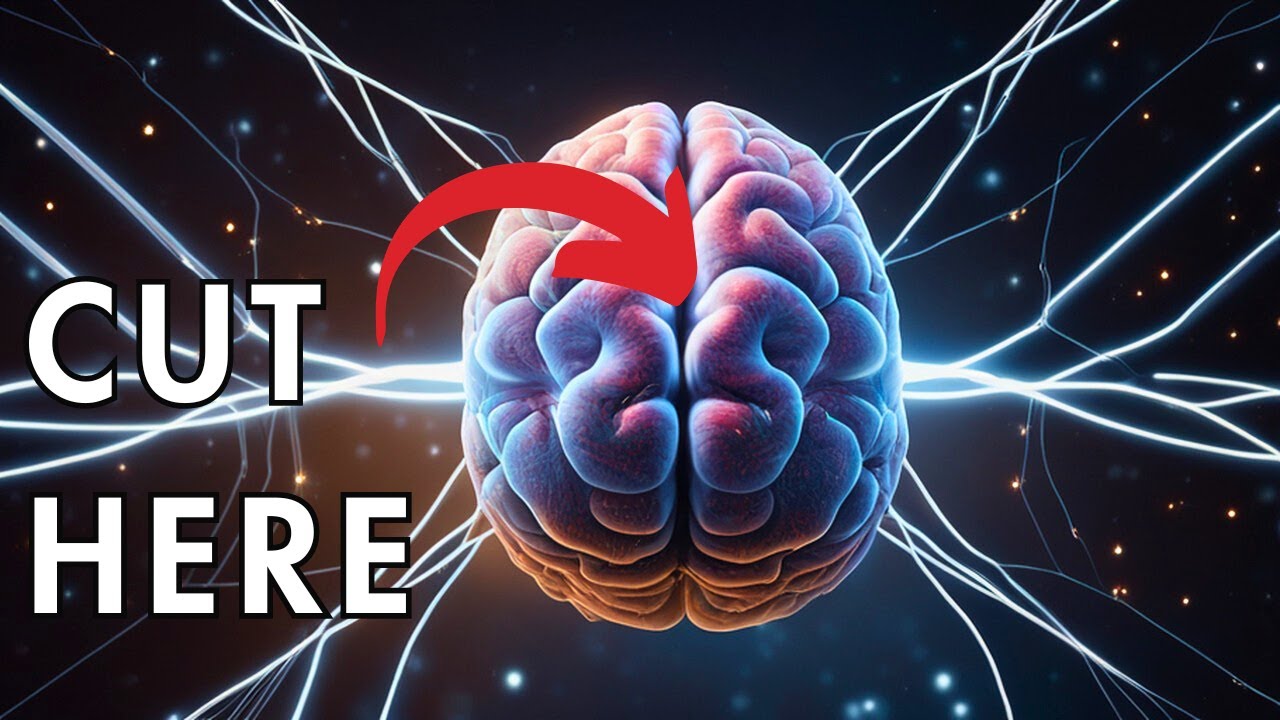 The Unsettling Truth about Human Consciousness - YouTube