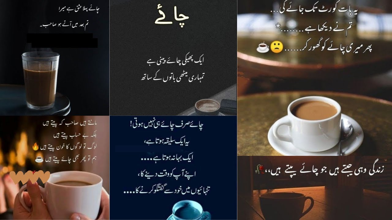 Tea Lovers WhatsApp Status Video 2022 Chai Status In Urdu Best Chai tea-lovers-whatsapp-status-video-2022-chai-status-in-urdu-best-chai