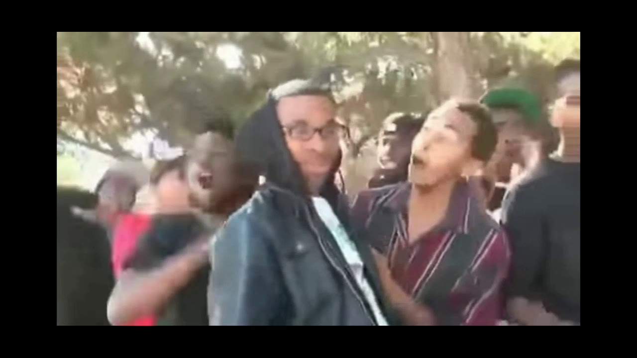 Crowd memes - YouTube