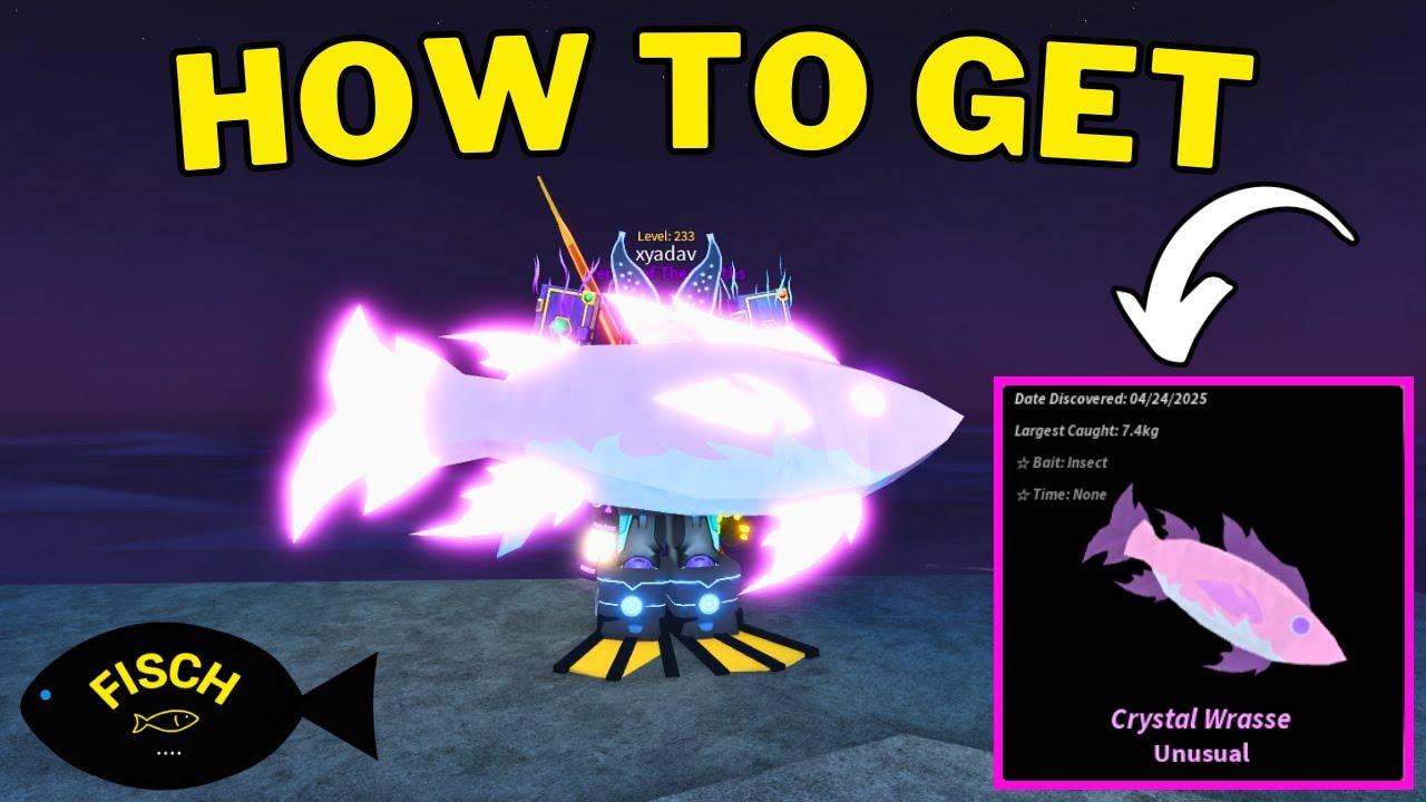 How To Get Crystal Wrasse in Fisch | Crystal Wrasse Fish Location ...