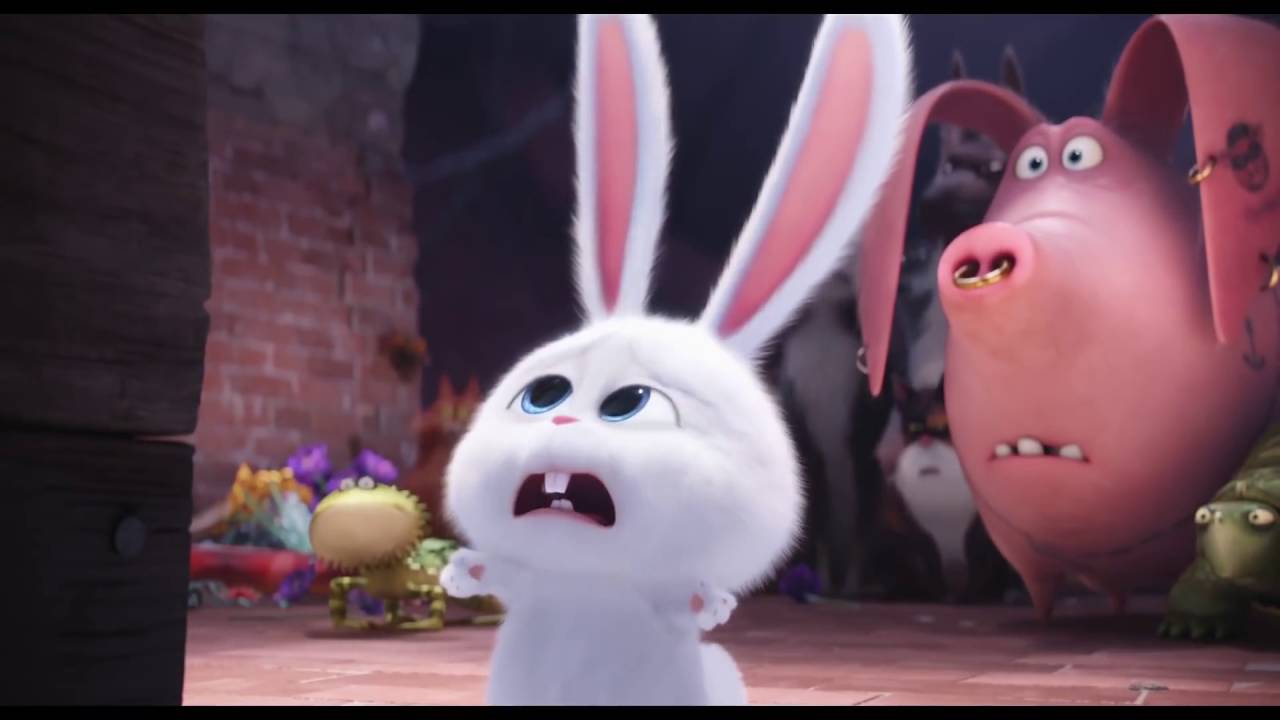 Snow Ball Crying - YouTube