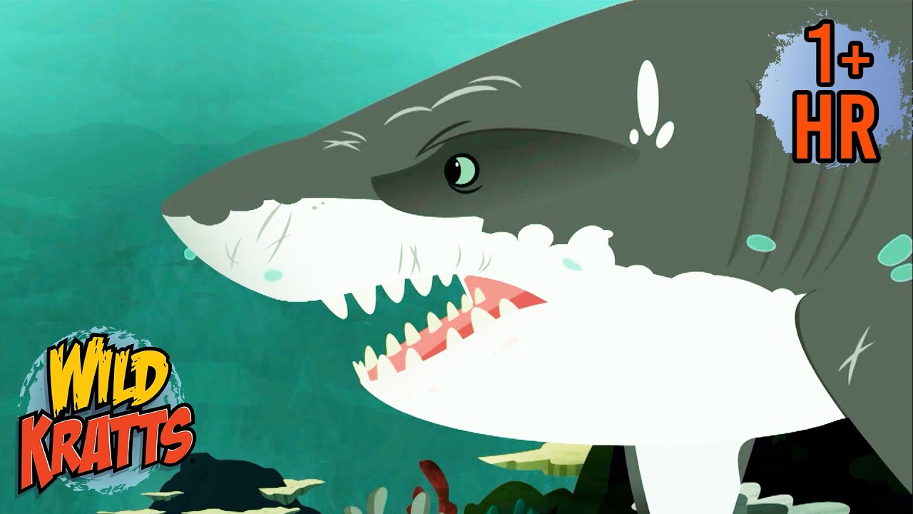 Shark Attacks | Epic Undersea Creature Battles | Full Episodes | Wild ...