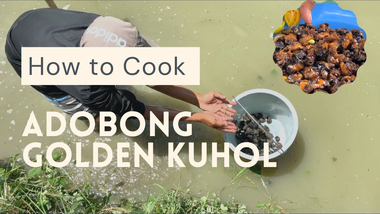 Cheapest Filipino Source of Protein. Golden Apple Snail or Kuhol ...