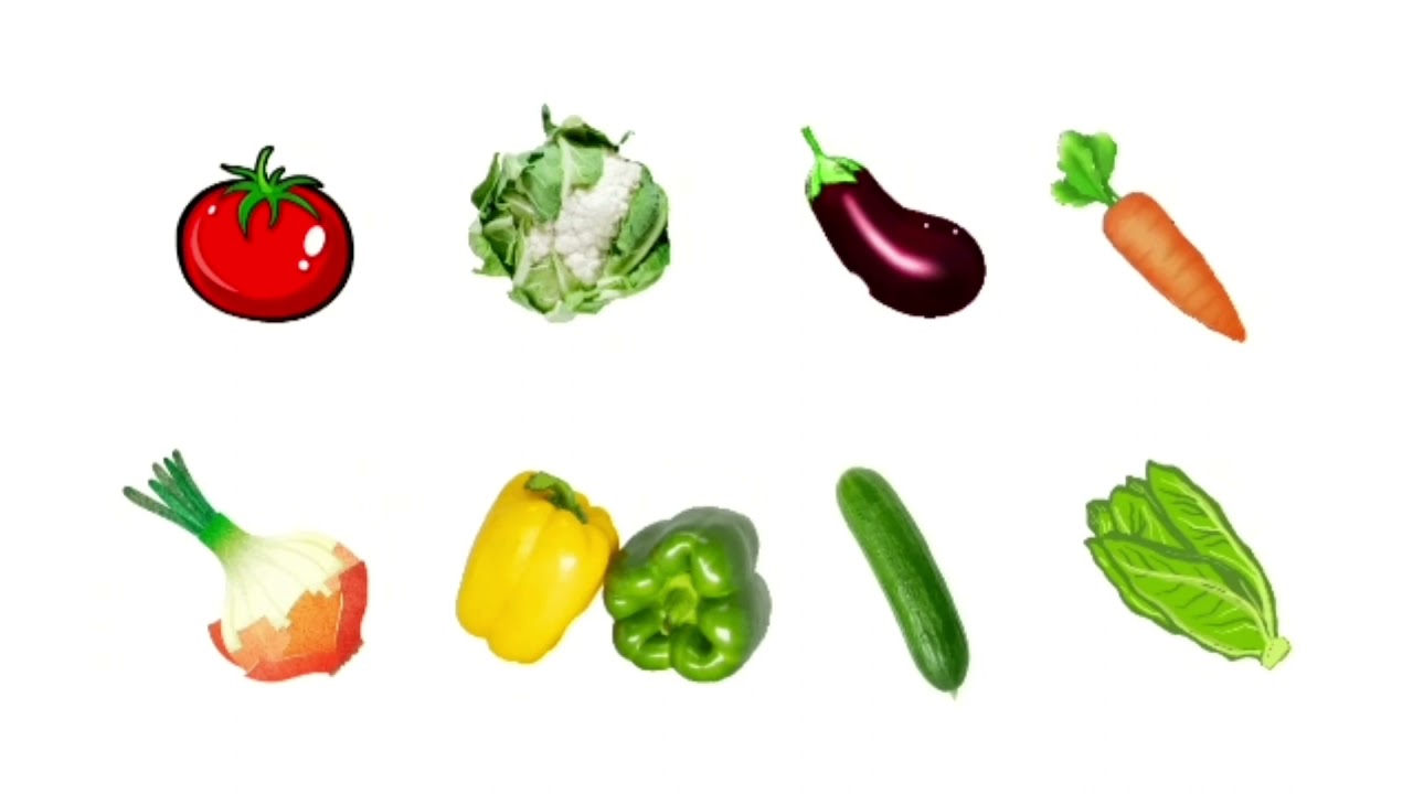 Mengenal Macam-macam Sayur mayur, nama sayur mayur /belajar bentuk ...