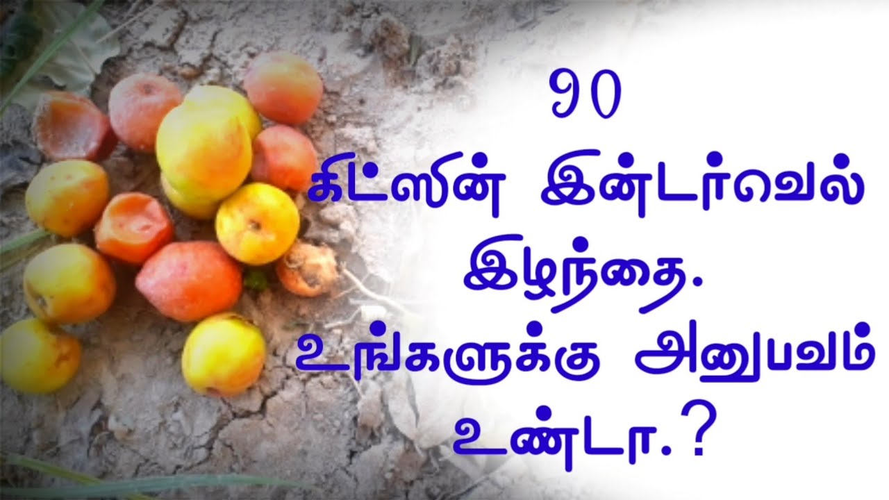 90 kids interval snacks - YouTube