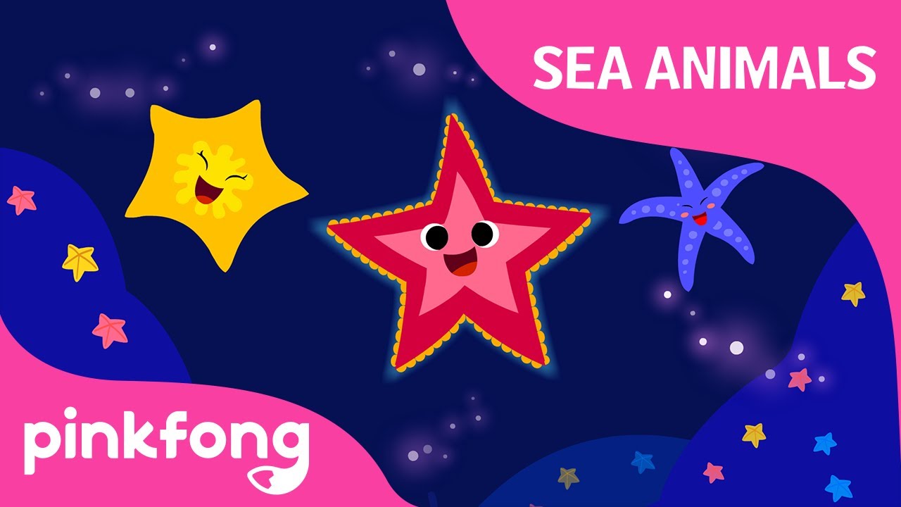 Shooby dooby doo Starfish | Sea Animals Song | Animal Song | Pinkfong ...