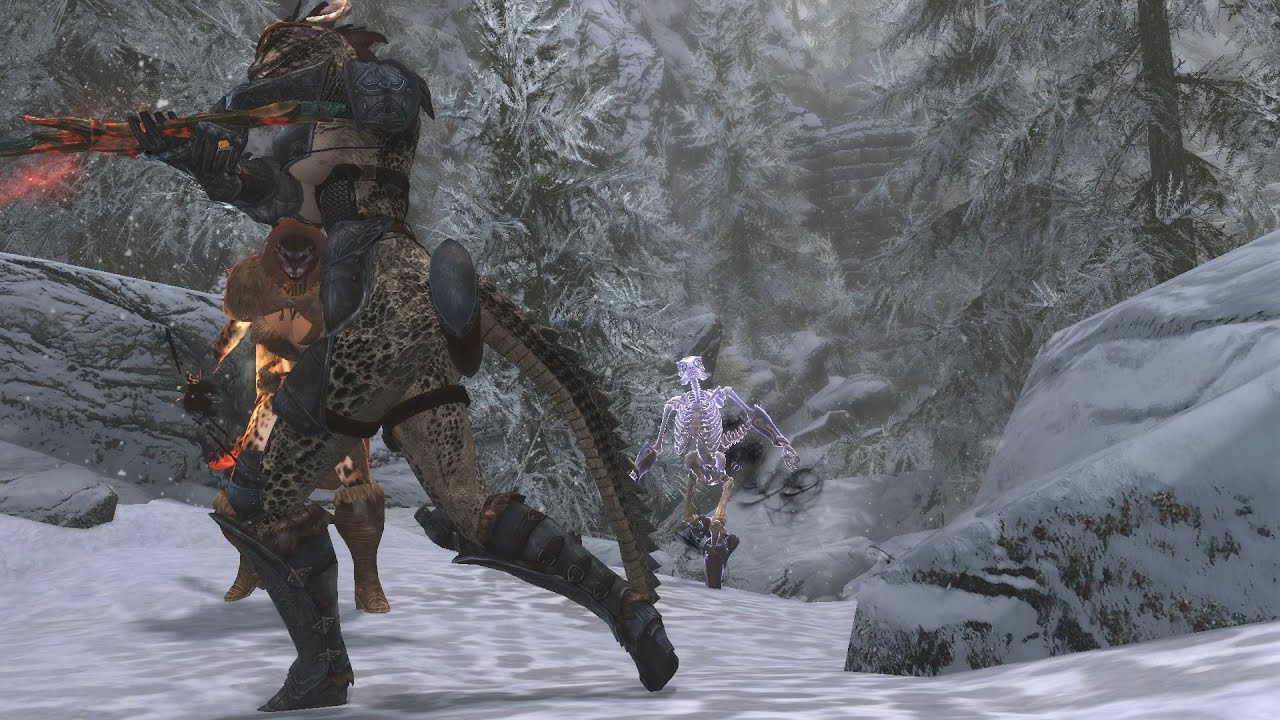 Skyrim Mods - Enemy Variations V2.2 Mod Gameplay Demos - 17 - Deepwood ...