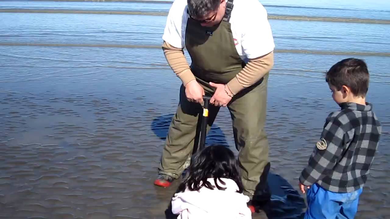 Harvesting a Clam - YouTube