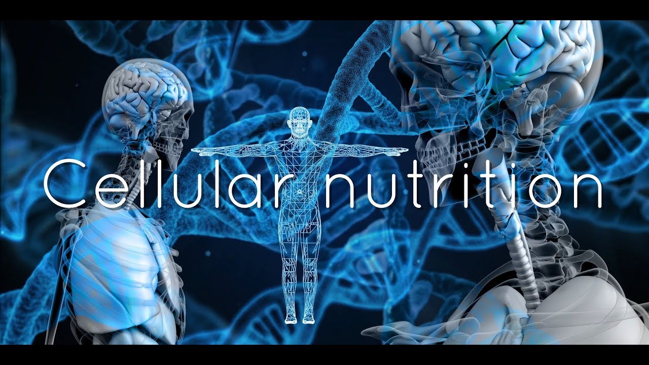 Cellular Nutrition: What is it? Why is it important? - YouTube