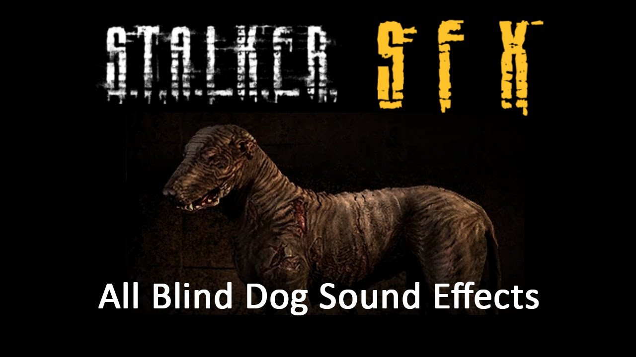 (S.T.A.L.K.E.R. SFX) - All Blind Dog Sound Effects - YouTube