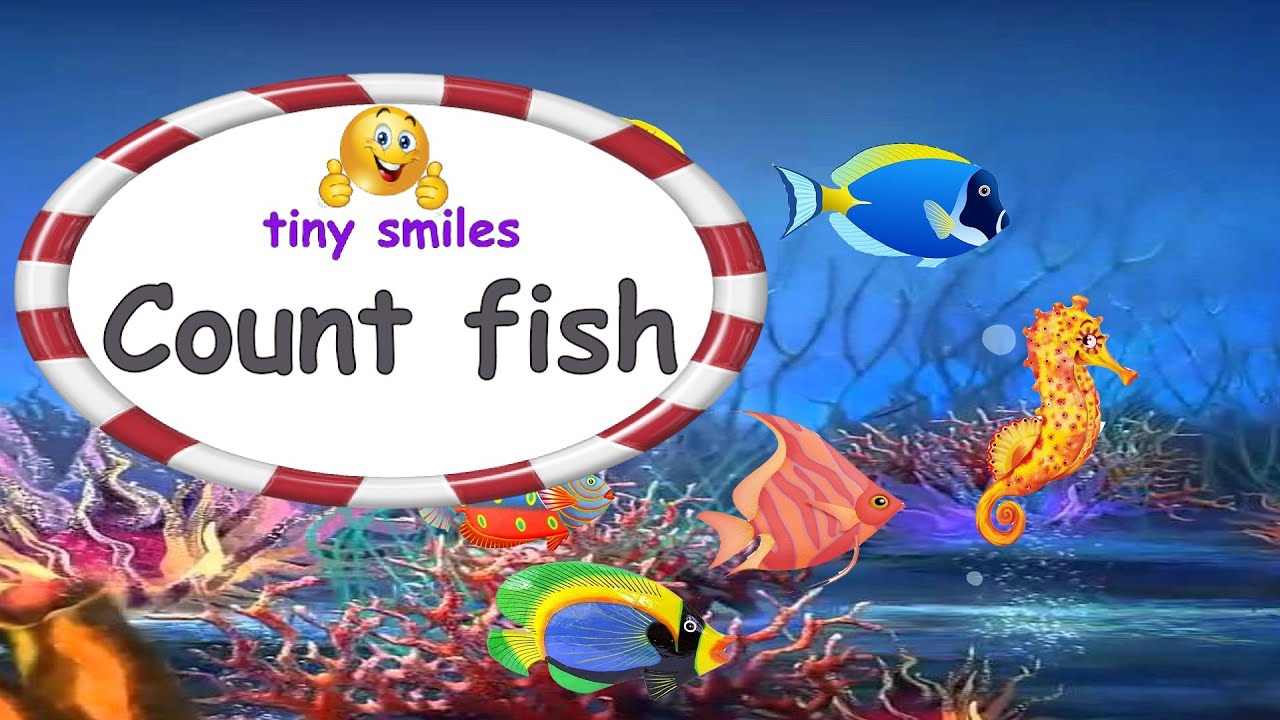Count fish**For kids**Kids Songs**Baby Rhymes by Tiny smile** Toddlers ...