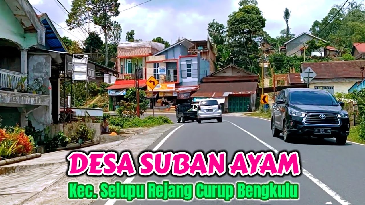 Desa Suban Ayam Kecamatan Selupu Rejang Kabupaten Rejang Lebong ...