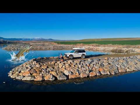Turna Avı. Huzurun İçinde Bir Gün!
