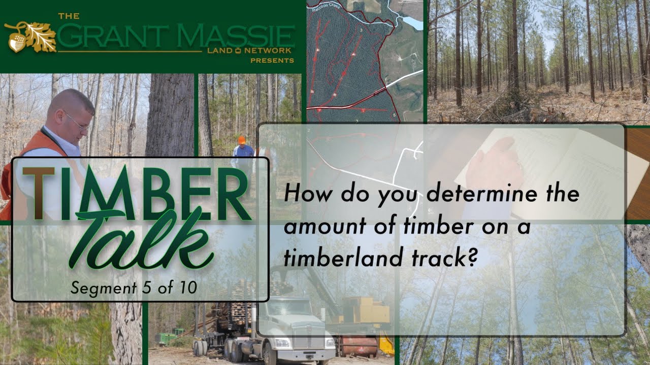 Timber Talk: How do you determine the amount of timber on a timberland ...