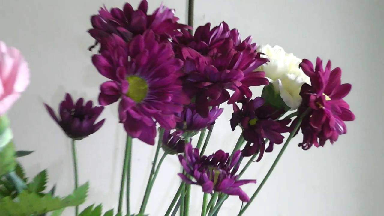TODAY IS MAY 21 2016 - YouTube