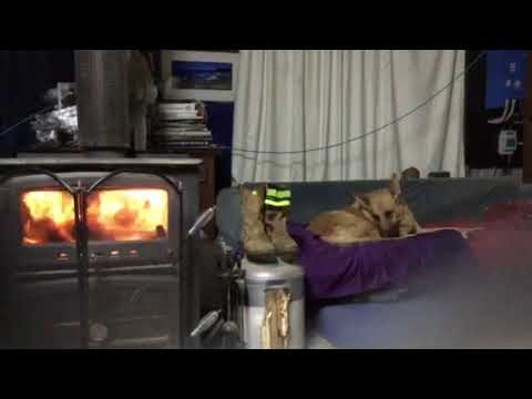 Simba and Fire - YouTube